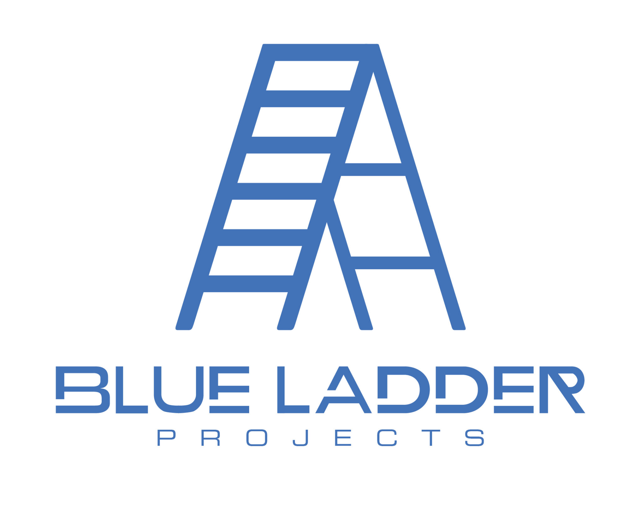 Blue Ladder Projects | Premier Construction Services